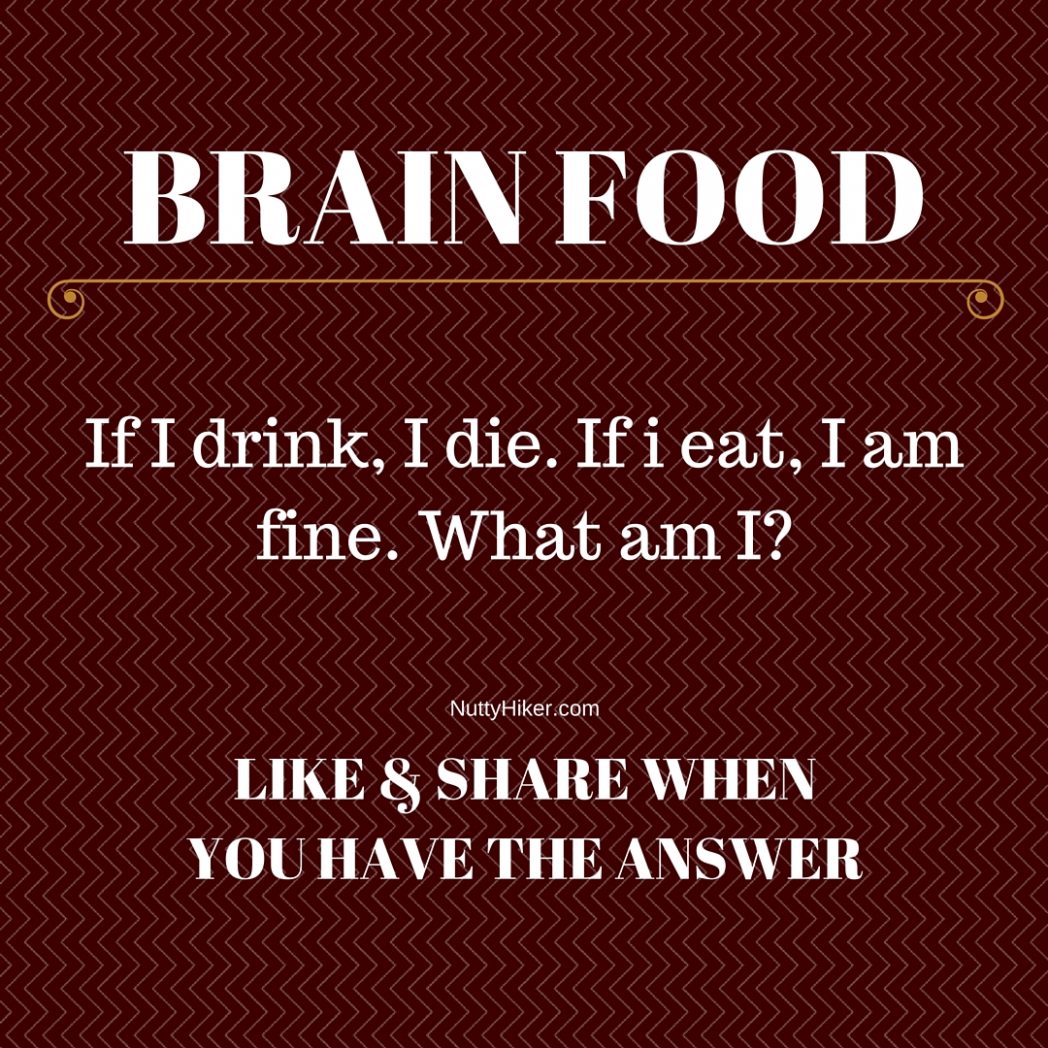 Brain Food Tuesday May 3 2016 Riddles For The Mind Every Tuesday