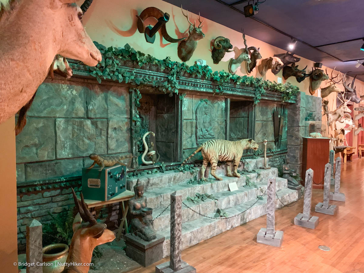 Buckhorn Saloon | Exploring the Oldest Saloon in Texas