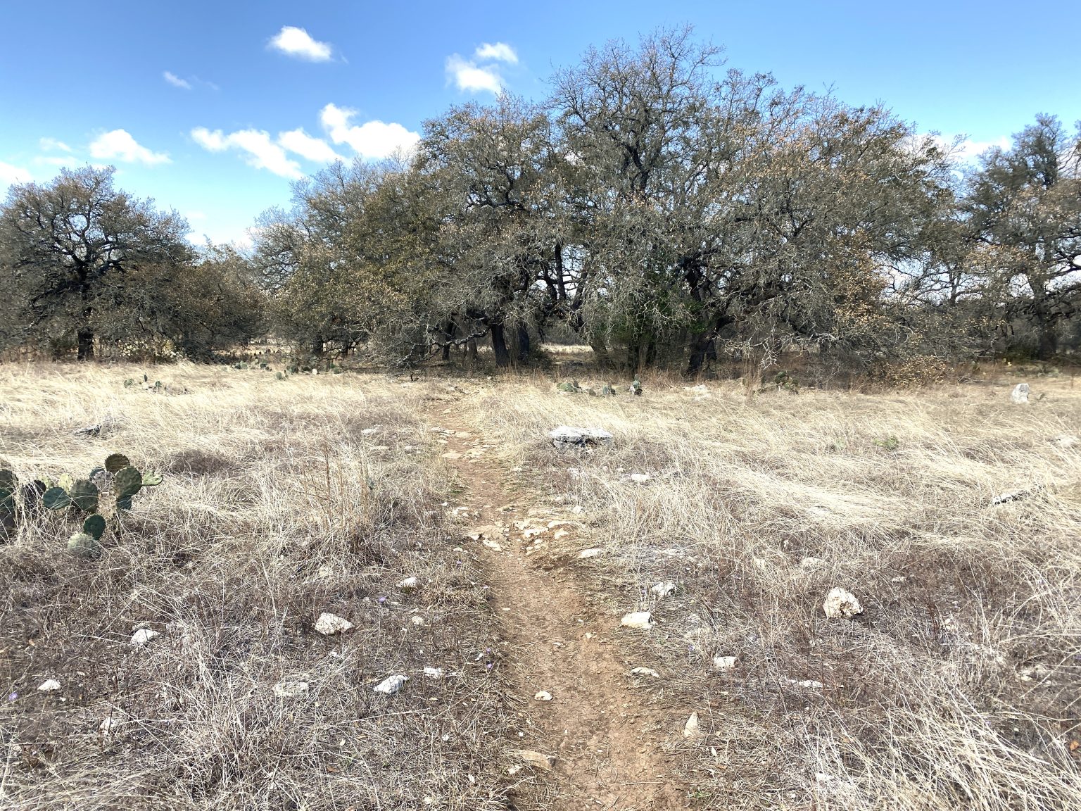 Hiking The Discovery Well Cave Preserve & Finding Caves