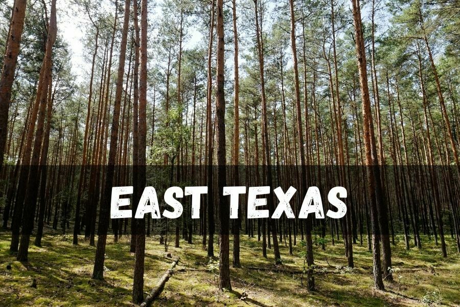 East Texas | Things to Do | Attractions, Hiking, & More