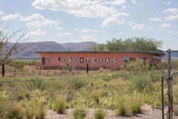 The Texas Ghost Town of Lobo | Nutty Hiker Adventures