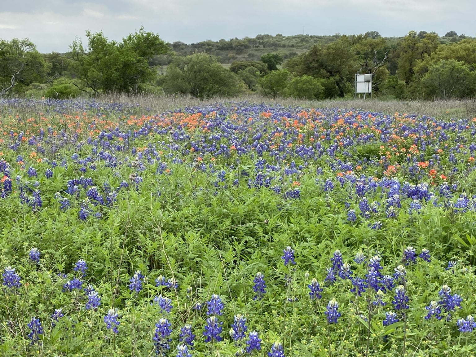 Milton Reimers Ranch Park & Trails | Texas Hiking Trails