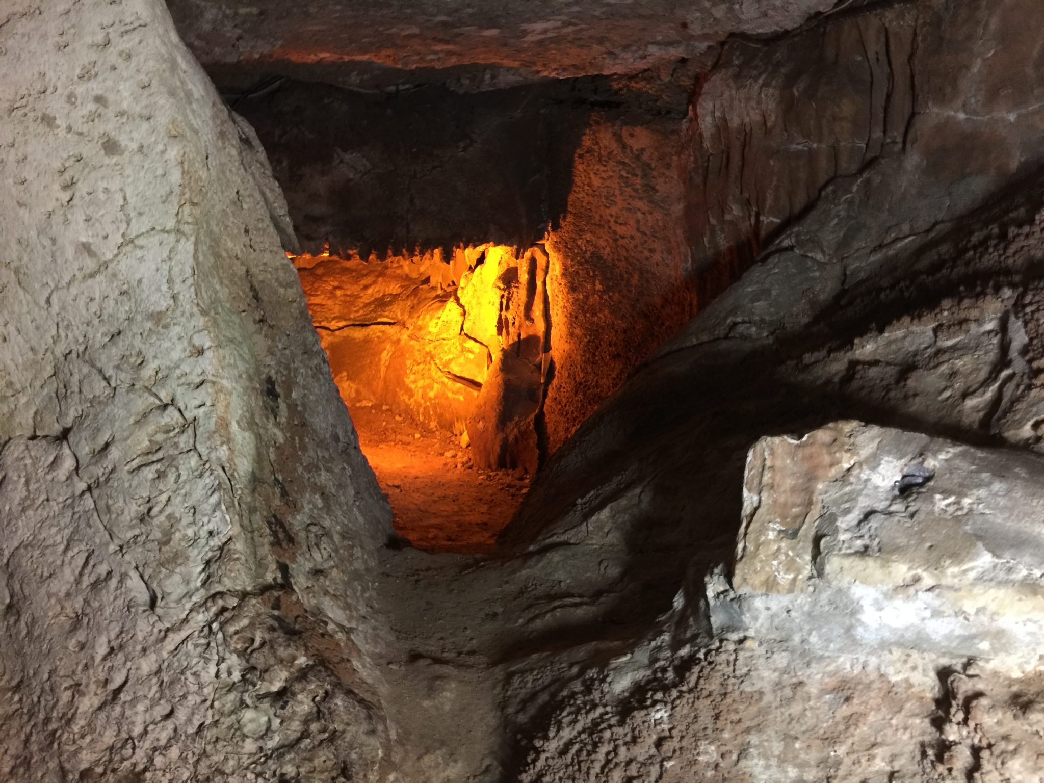 Wonder World Park & Cave | A One Of A Kind Park & Cave