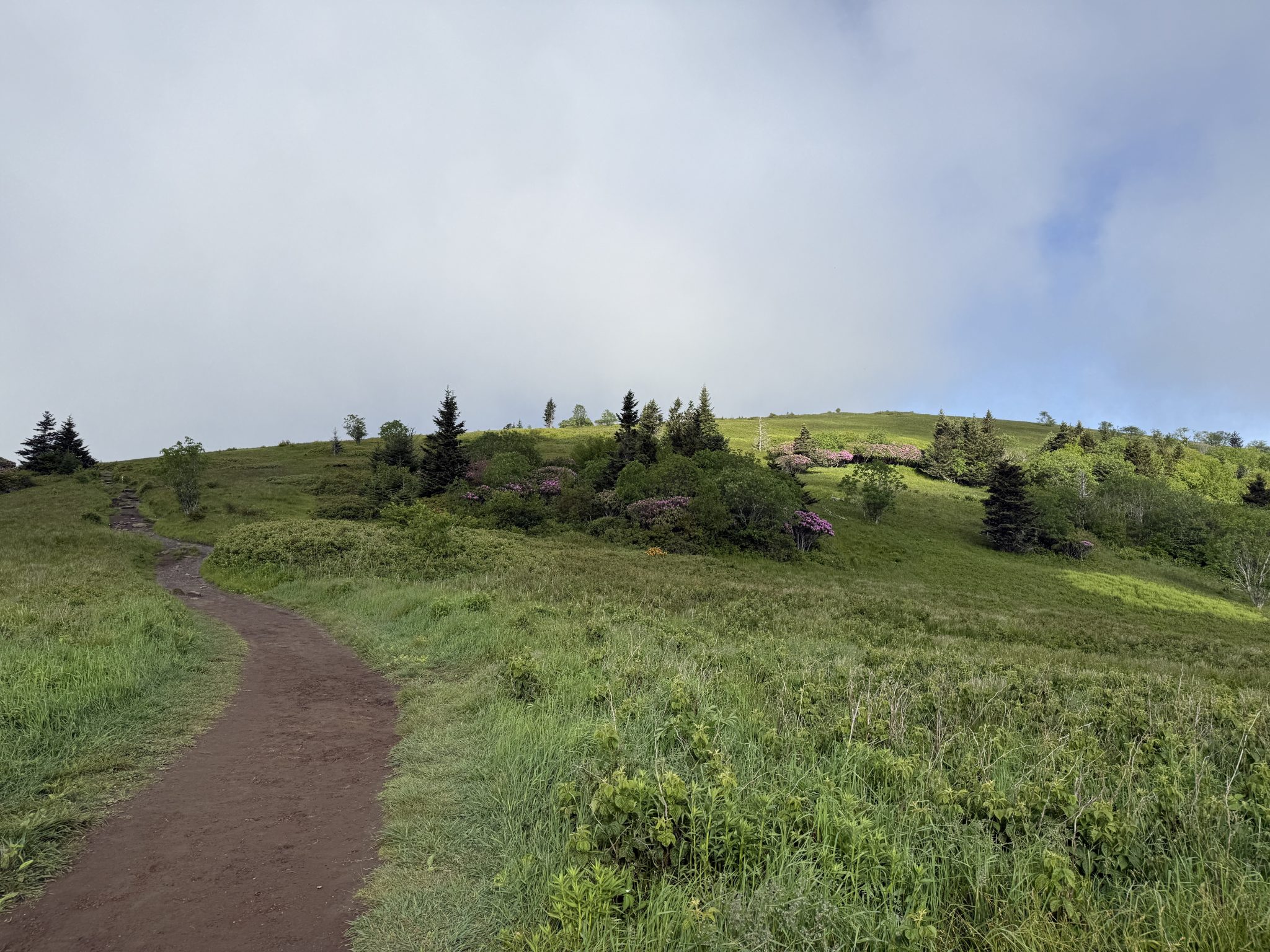 Appalachian Trail Day 32: Hiking the Roan Highlands