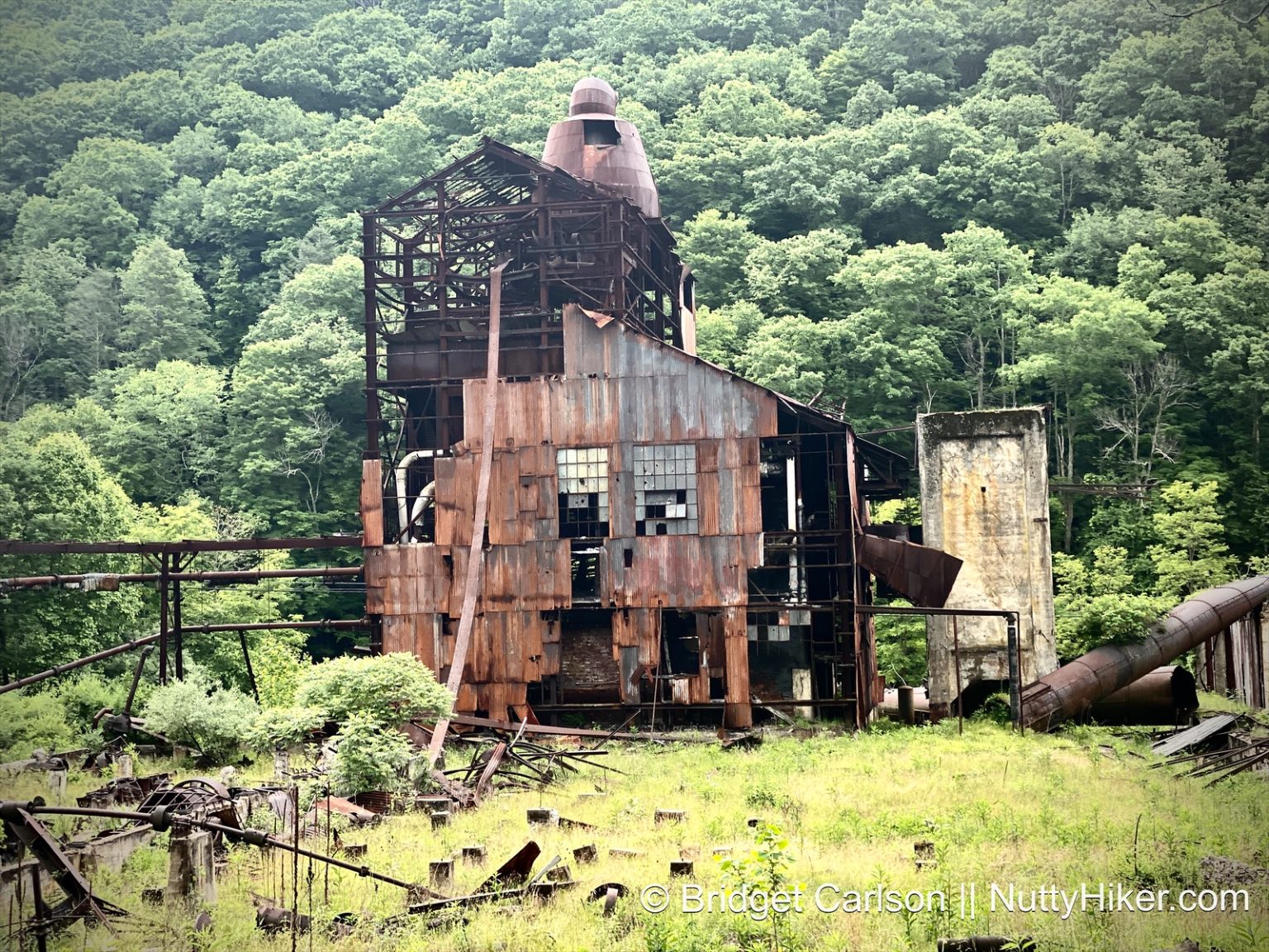 Riding The Cass Scenic Railroad | Nutty Hiker Adventures