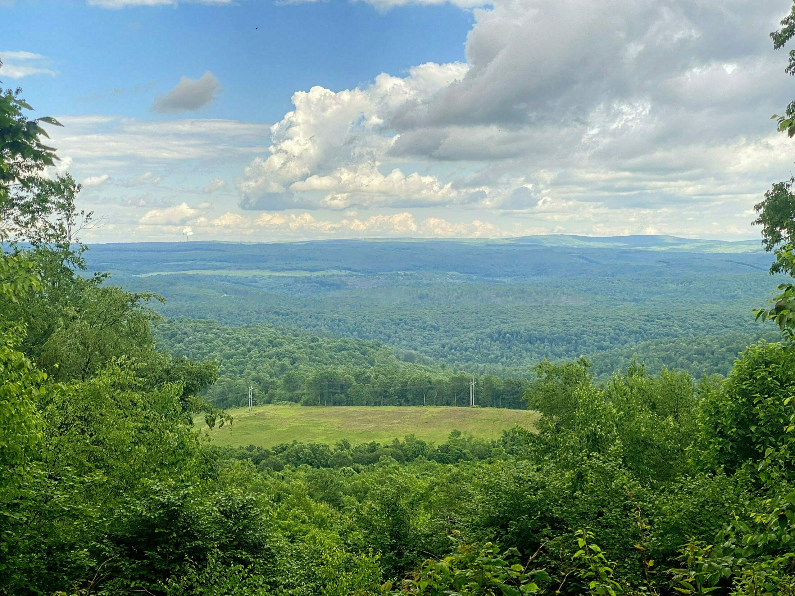 Maryland Highpoint: Hiking to Hoye Crest on Backbone Mountain