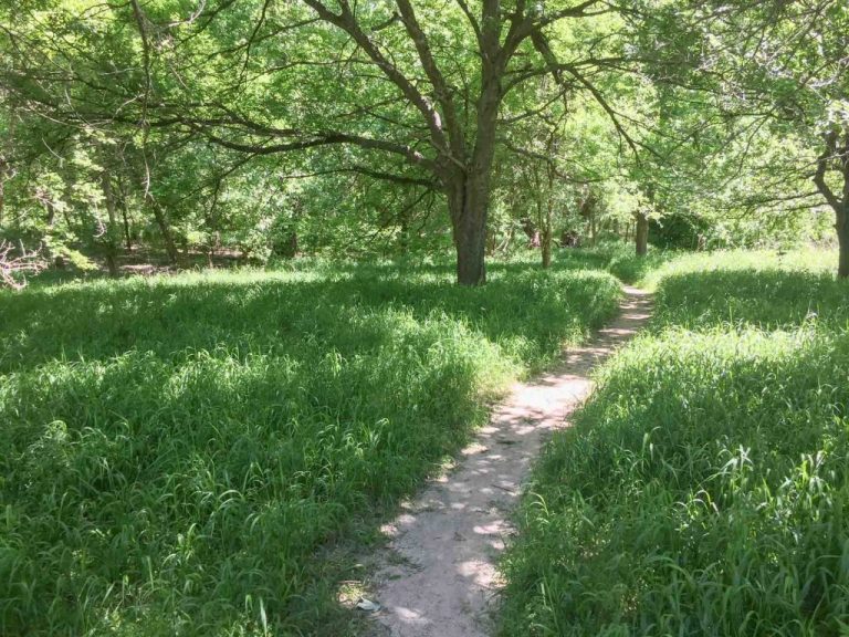Miller Springs Nature Trail || Hiking Trails Near Fort Hood Texas