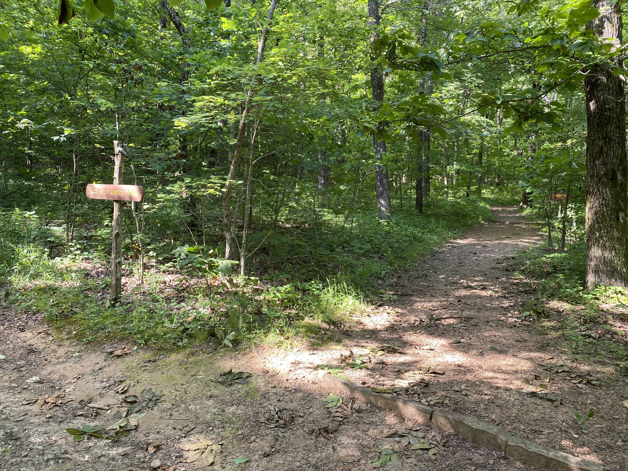 Mount Magazine - Signal Hill | Arkansas High Point