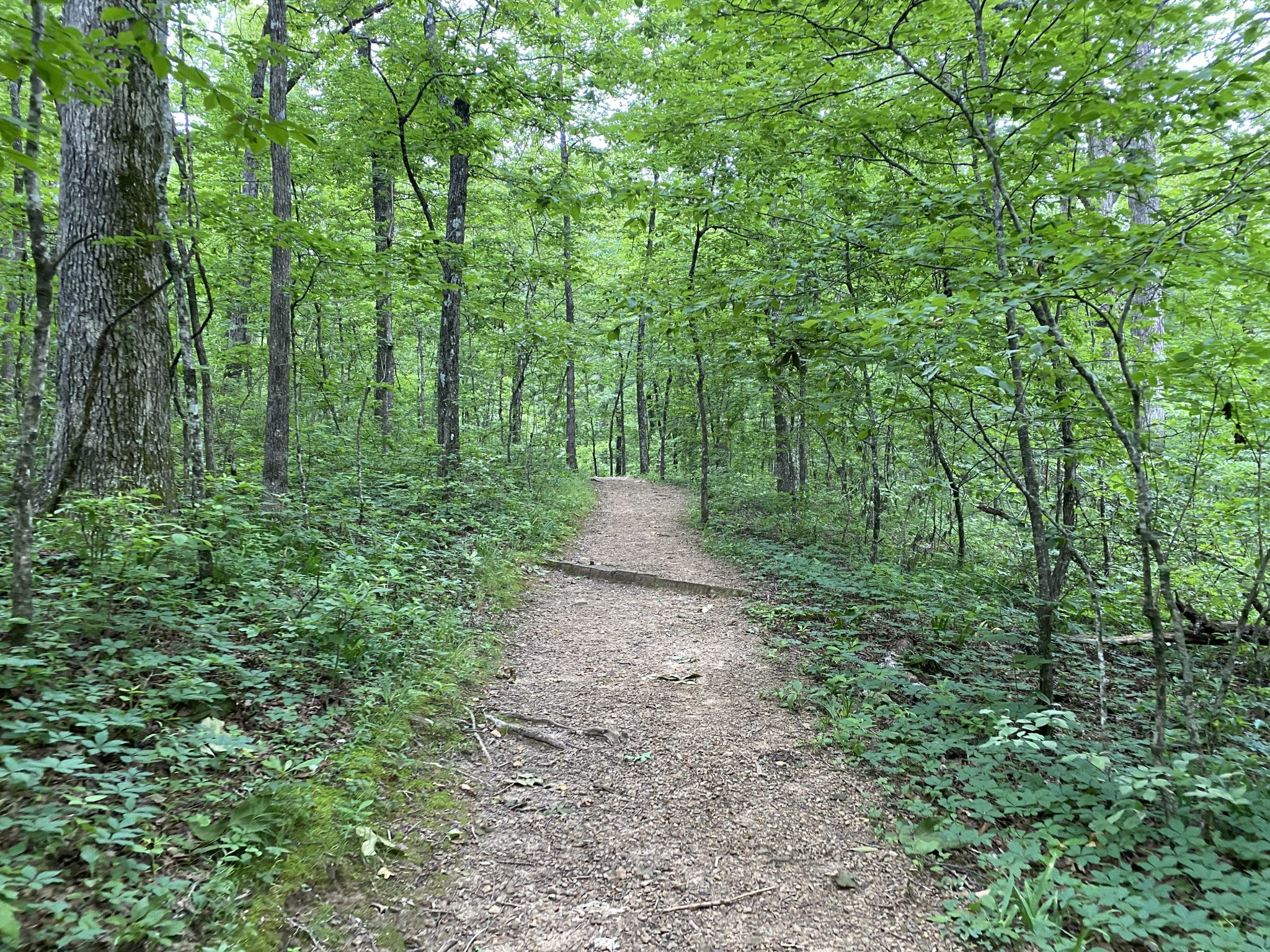 Mount Magazine - Signal Hill | Arkansas High Point