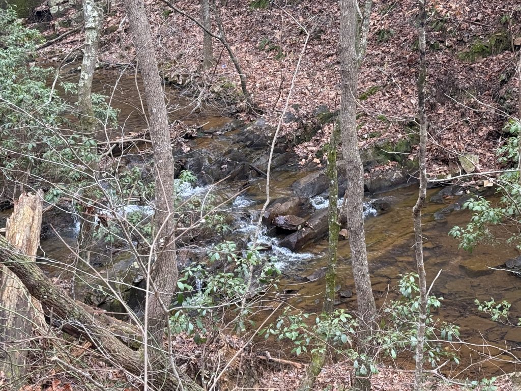 Pinhoti Trail Day 30: ATV Park & A Dumped Body?